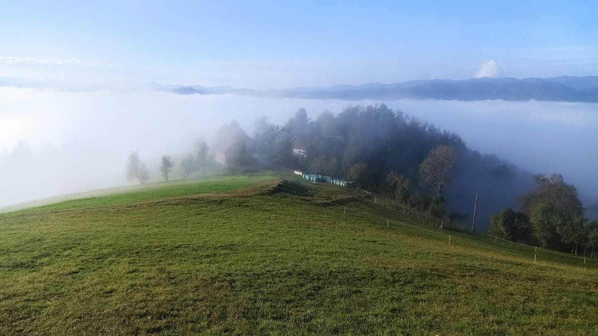 What Are the Advantages of Living in the Countryside? - Nomadland